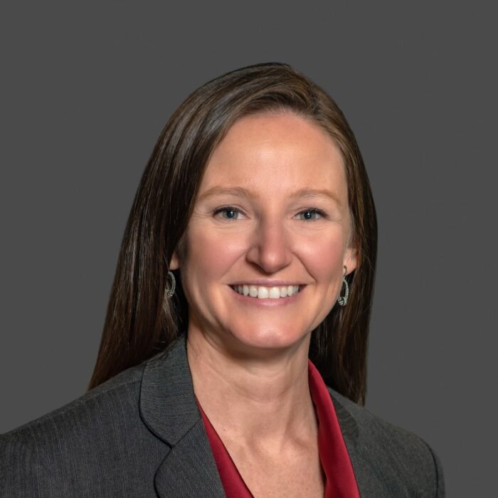 Anna Wheeler - The Cyber Guild